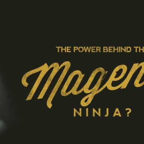 How AngularJS and GSAP brought our Magento Ninja web design game to li