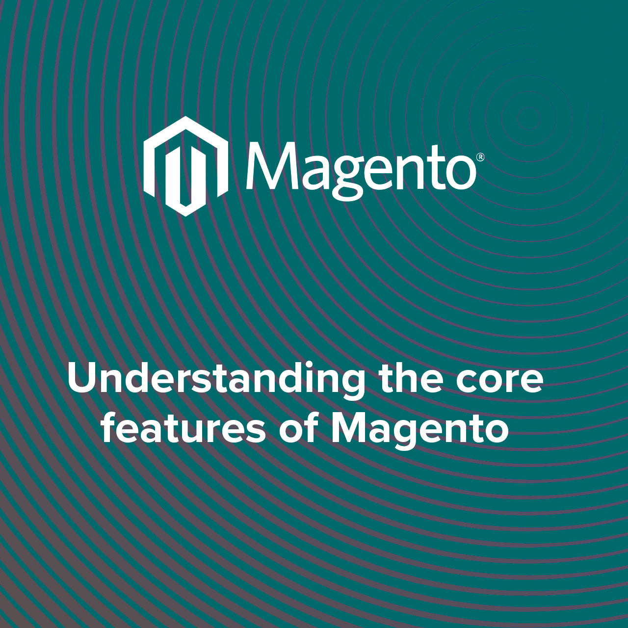 Understanding the Core Features of Magento